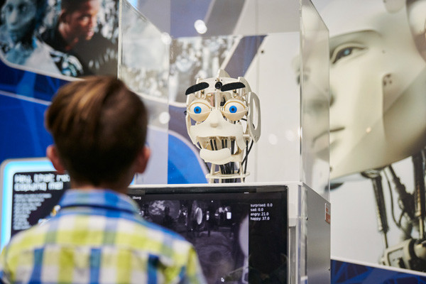 STEM At Home | Activities And Experiments For Kids | Scitech